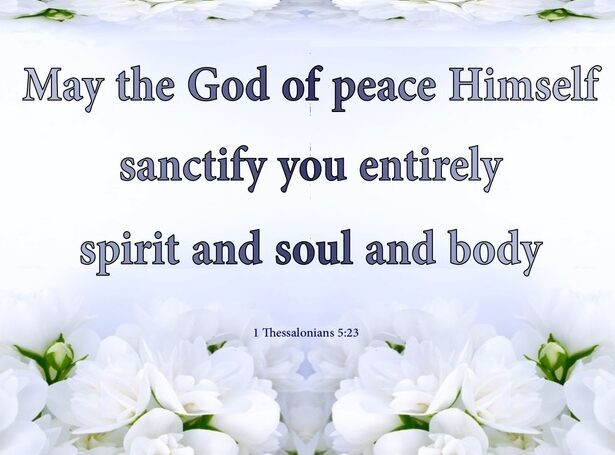 SUNDAY STUDY: Triune Man - Body, Soul and Spirit - Bible Prophecy Tracker